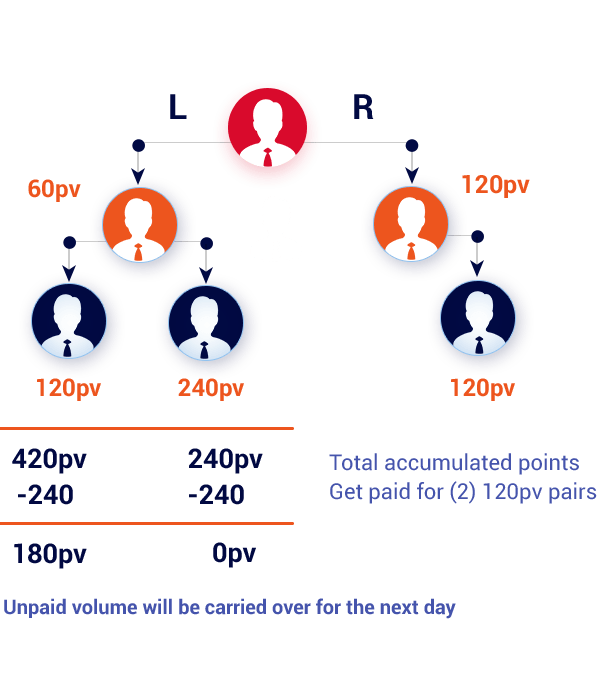 Binary Compensation Plan | MLM Binary Software Binary Compensation Plan | MLM Binary Software